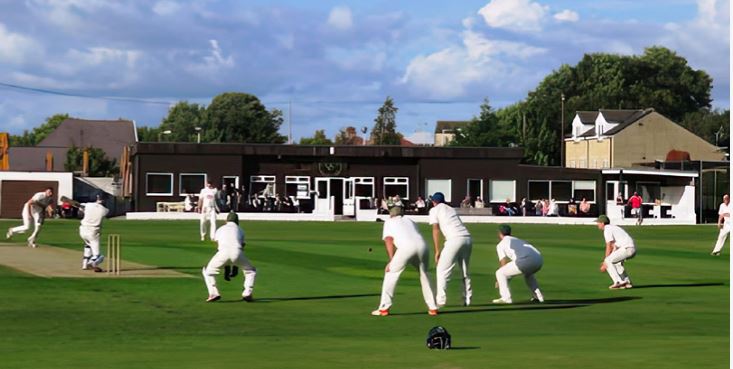 Recreational Cricket Health & Safety Road Map – The Cricket Collective